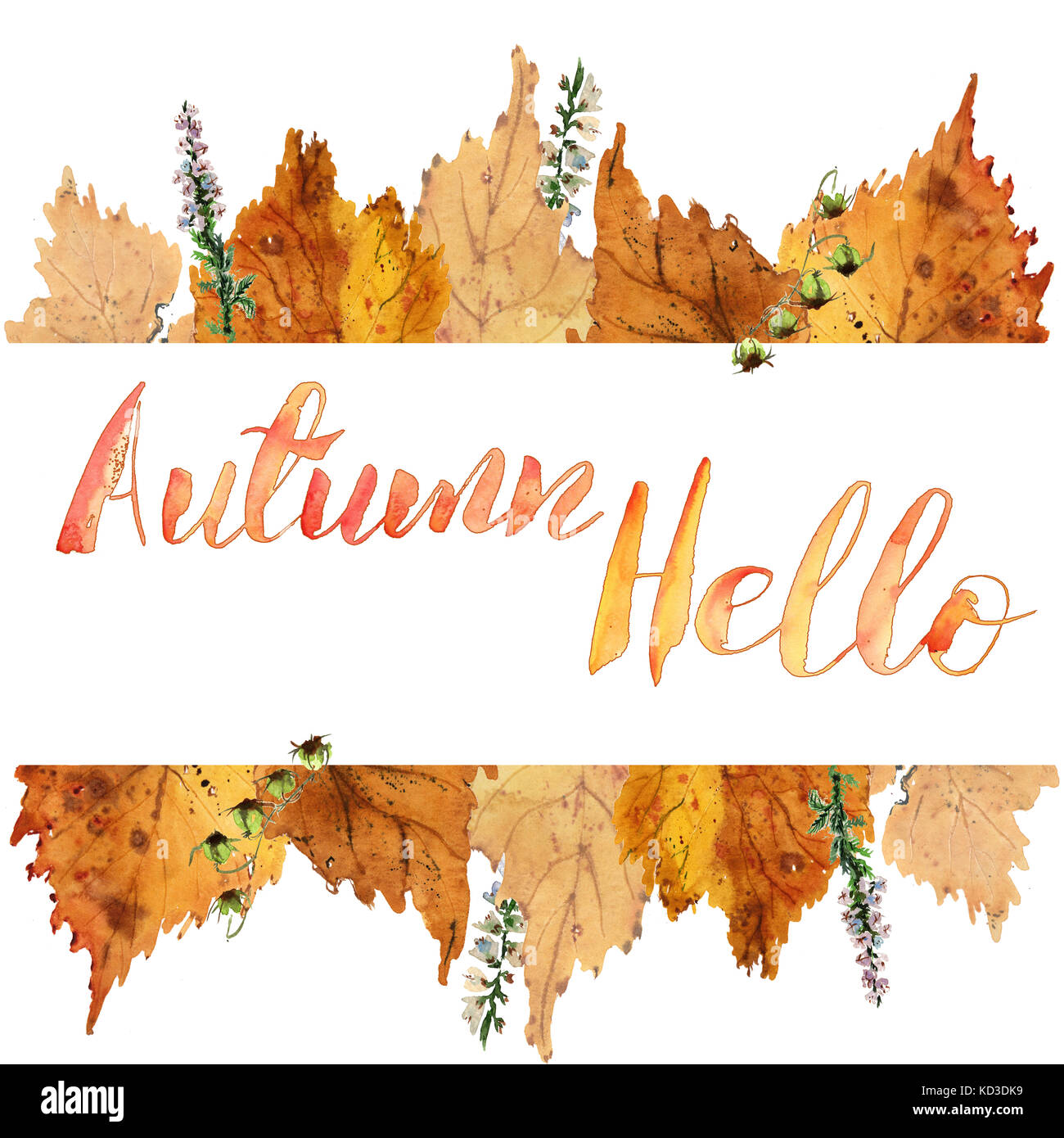 Birch tree watercolor hi-res stock photography and images - Alamy