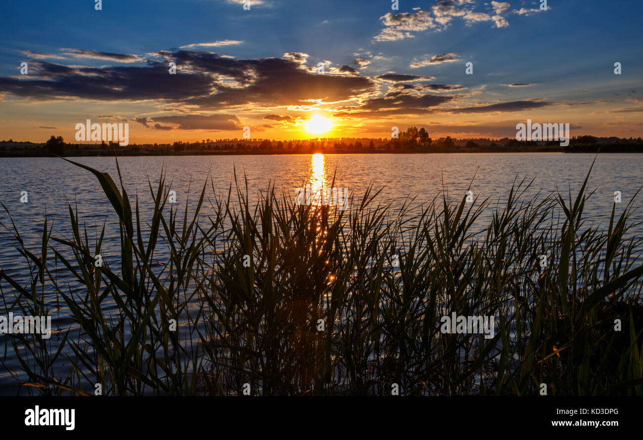 Summer landscape. Sunset over water Stock Photo - Alamy