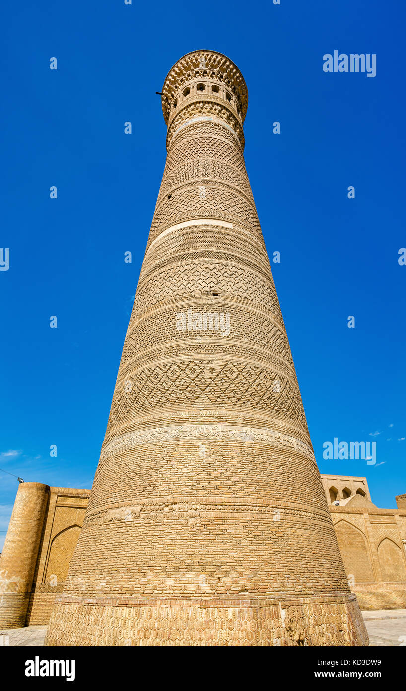 Kalyan minaret, bukhara, uzbekistan hi-res stock photography and images ...