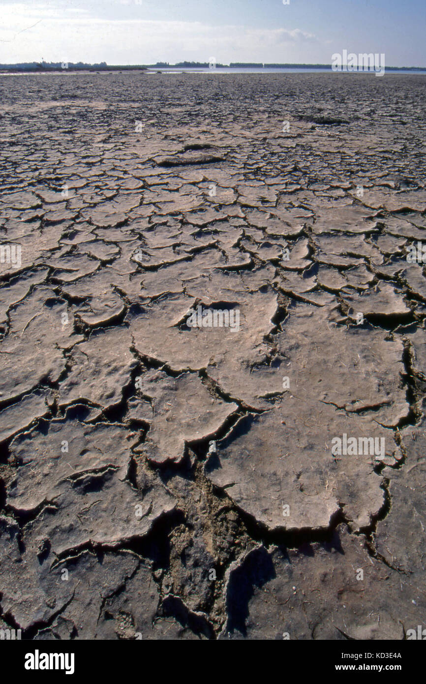 Catastrophical dry spell in Sinis Peninsula, Sardinia Stock Photo - Alamy
