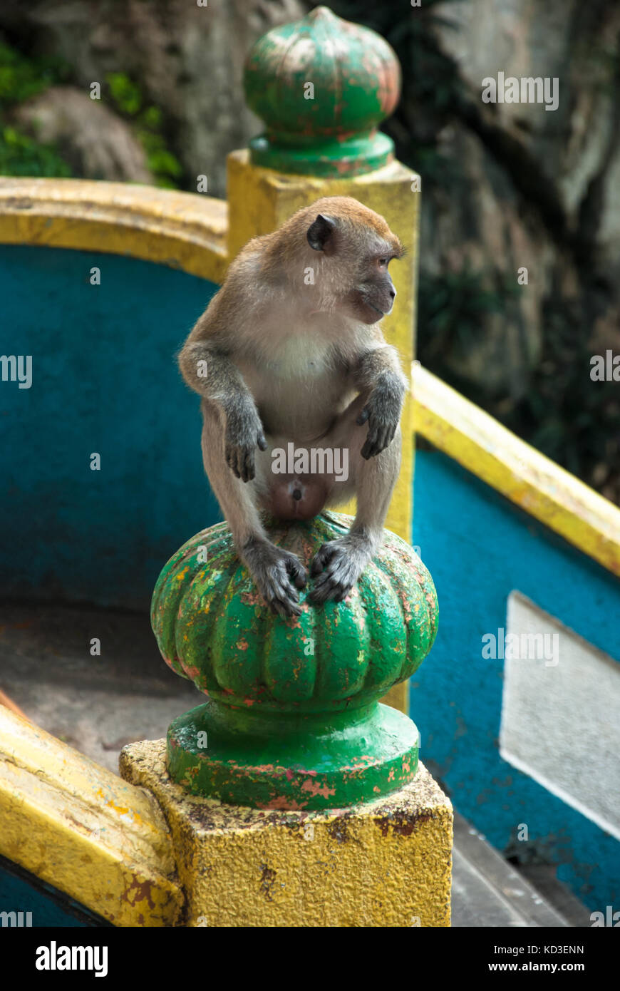 Ape cave entrance hi-res stock photography and images - Alamy
