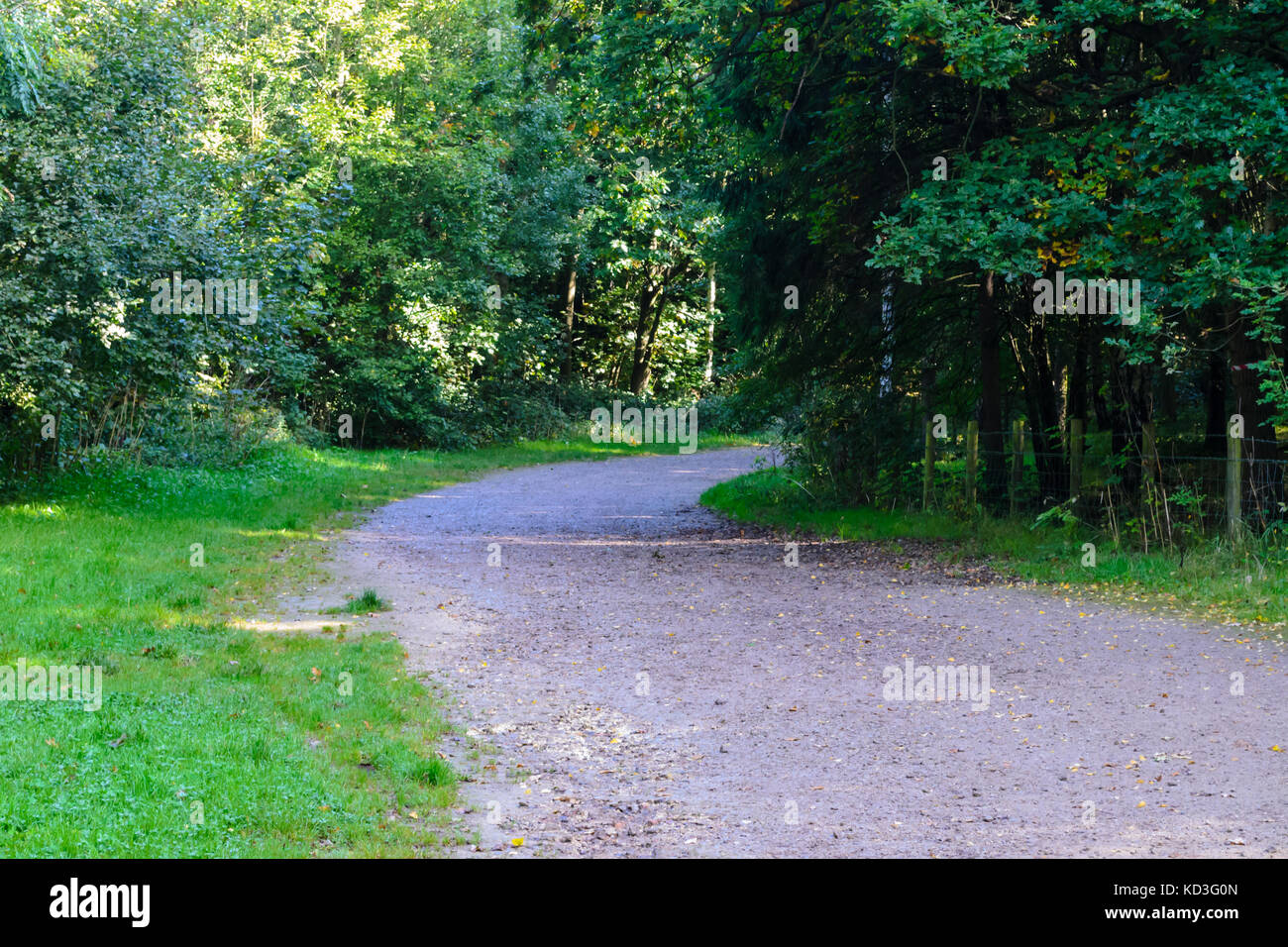 Lead somewhere hi-res stock photography and images - Alamy