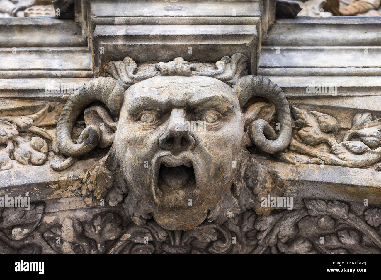 Grotesque plant hi-res stock photography and images - Alamy