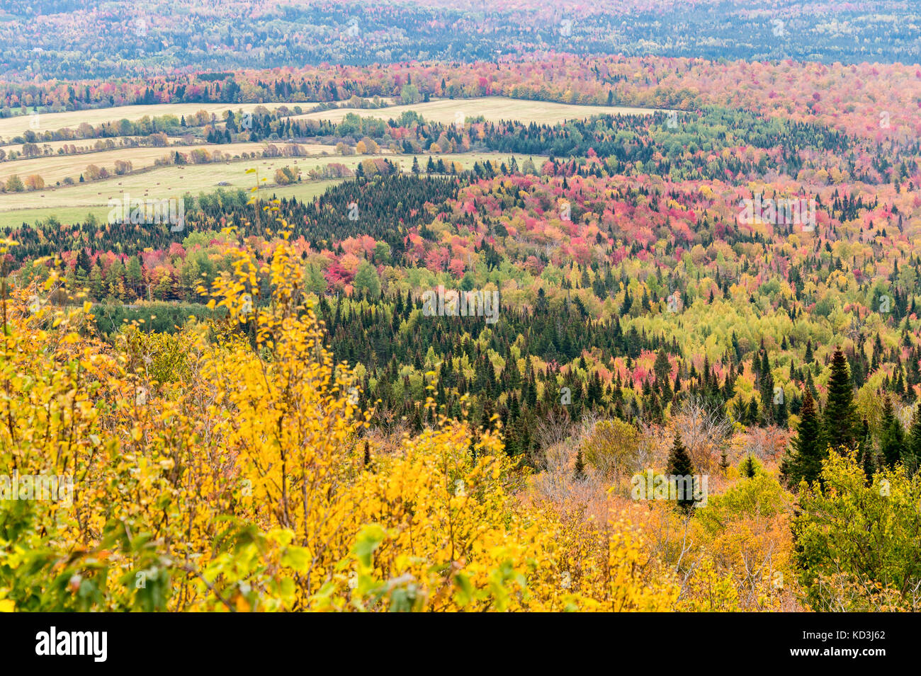 Eastern townships quebec autumn hi-res stock photography and images - Alamy