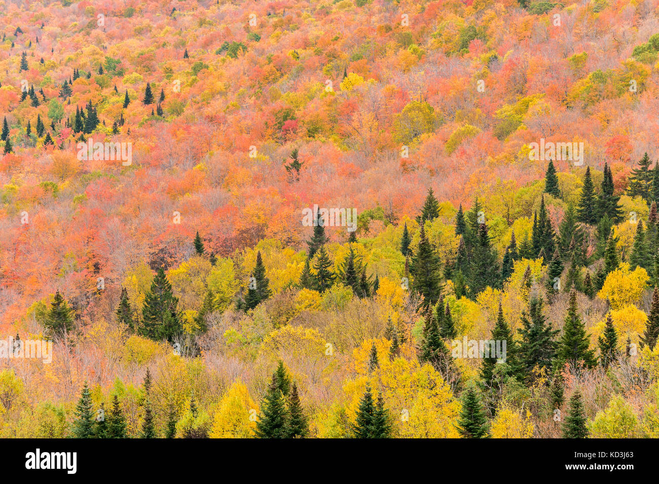 Fall colours from Mount Megantic (Eastern Townships, Quebec, Canada ...