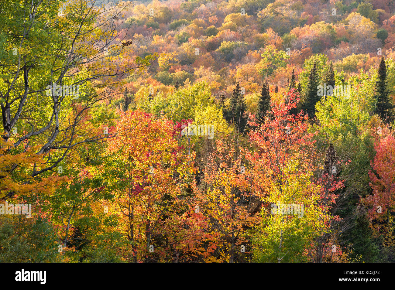 Eastern townships canada hi-res stock photography and images - Alamy