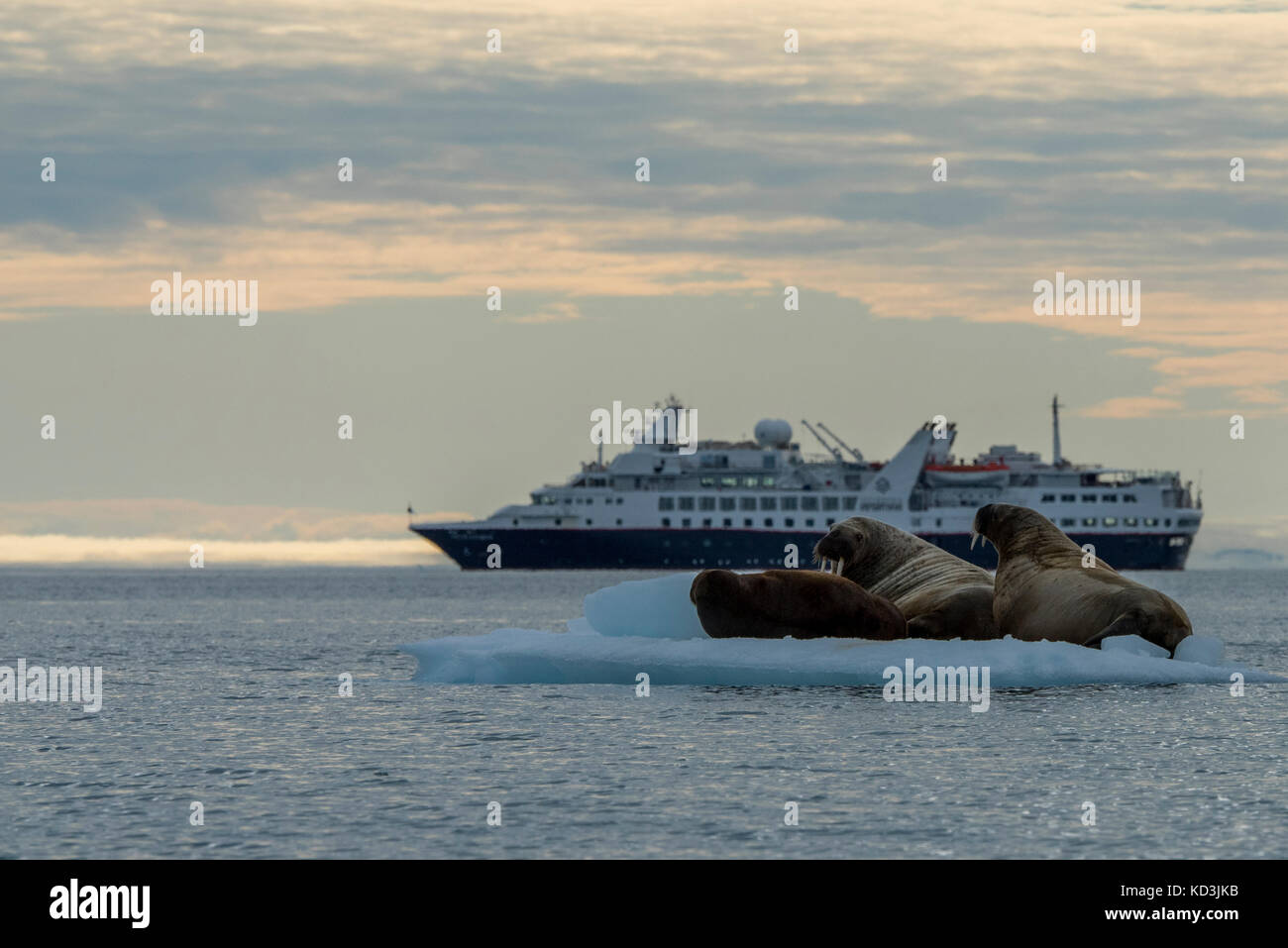 Norway, Svalbard, Nordaustlandet, Nordaust-Svalbard Nature Reserve ...