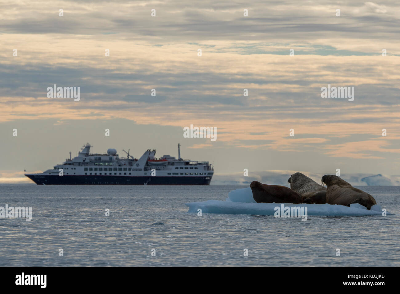 Norway, Svalbard, Nordaustlandet, Nordaust-Svalbard Nature Reserve ...