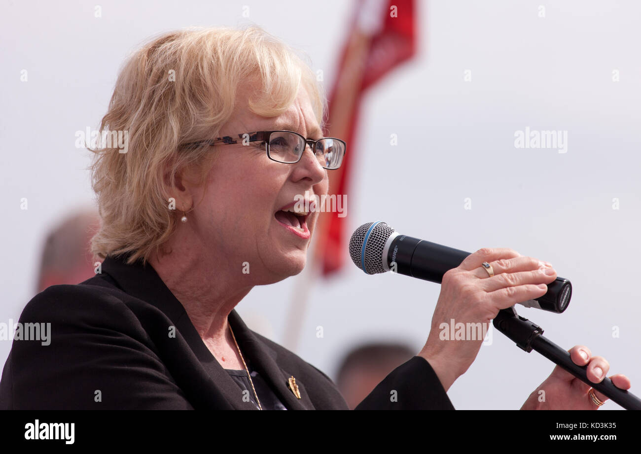 NDP MPP Peggy Sattler speaks to workers at the CAMI Assembly Plant in ...