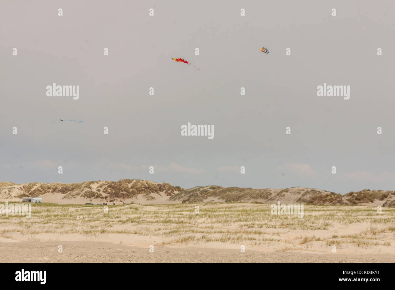 Beach on Romo Island. Denmark, Europe Stock Photo - Alamy