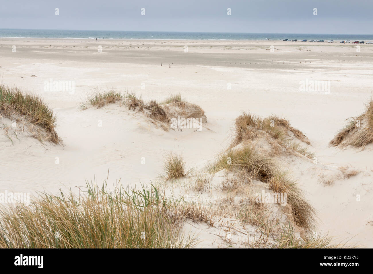 Beach on Romo Island. Denmark, Europe Stock Photo - Alamy