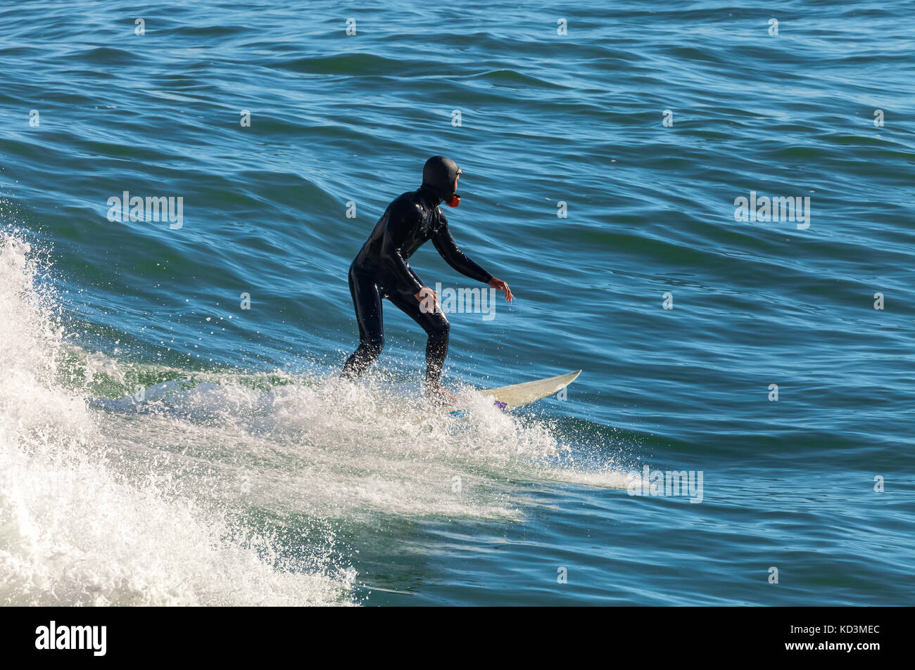 A surfer was surfing in San Francisco Bay, California Stock Photo - Alamy