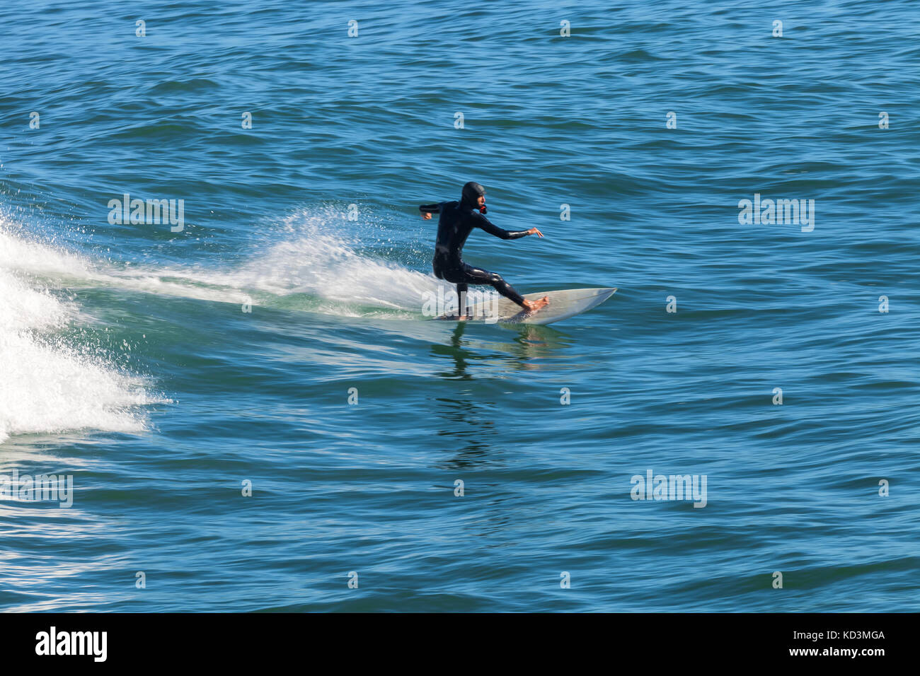 A surfer was surfing in San Francisco Bay, California Stock Photo - Alamy