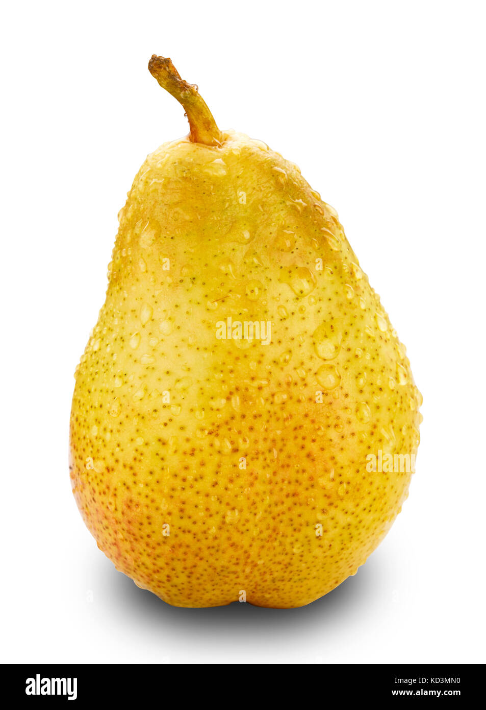 The yellow pear is covered with water. Isolated on white. Way is in ...