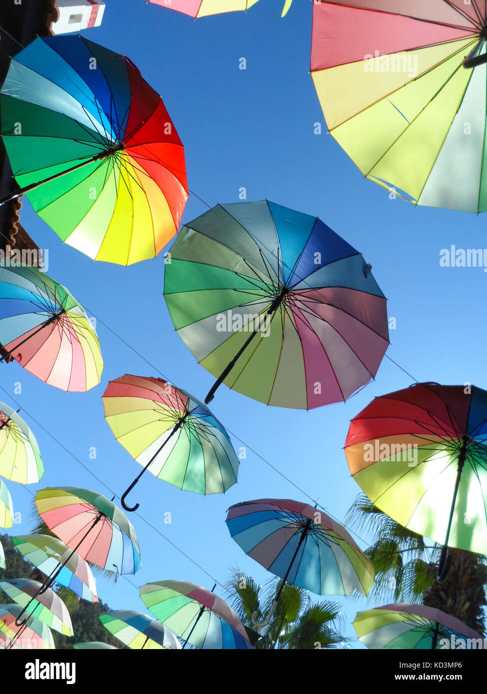 Colourful parasols suspended above the outside drinking/eating area of ...