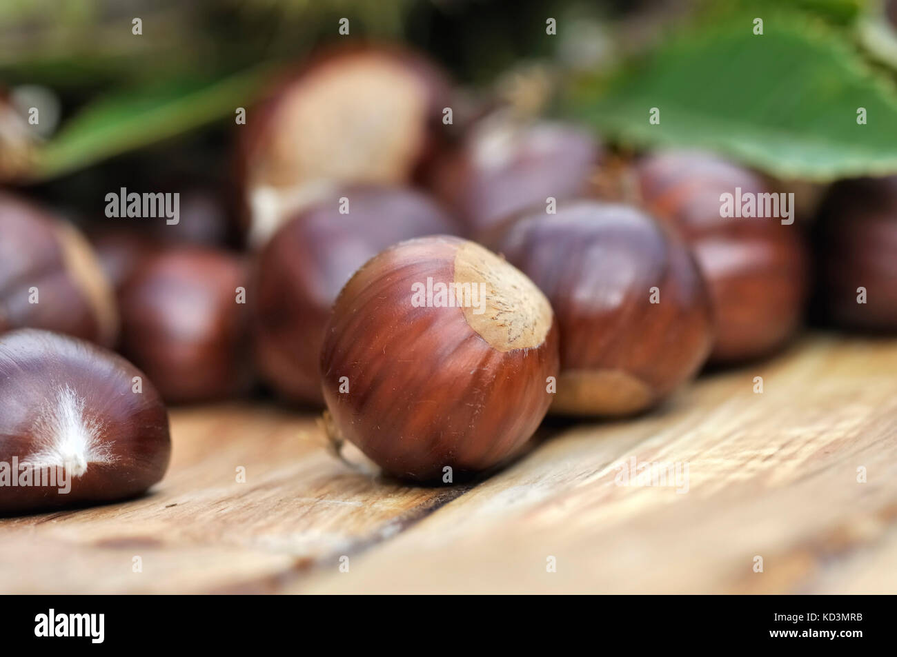 close on sweet chestnuts on a wooden background Stock Photo - Alamy