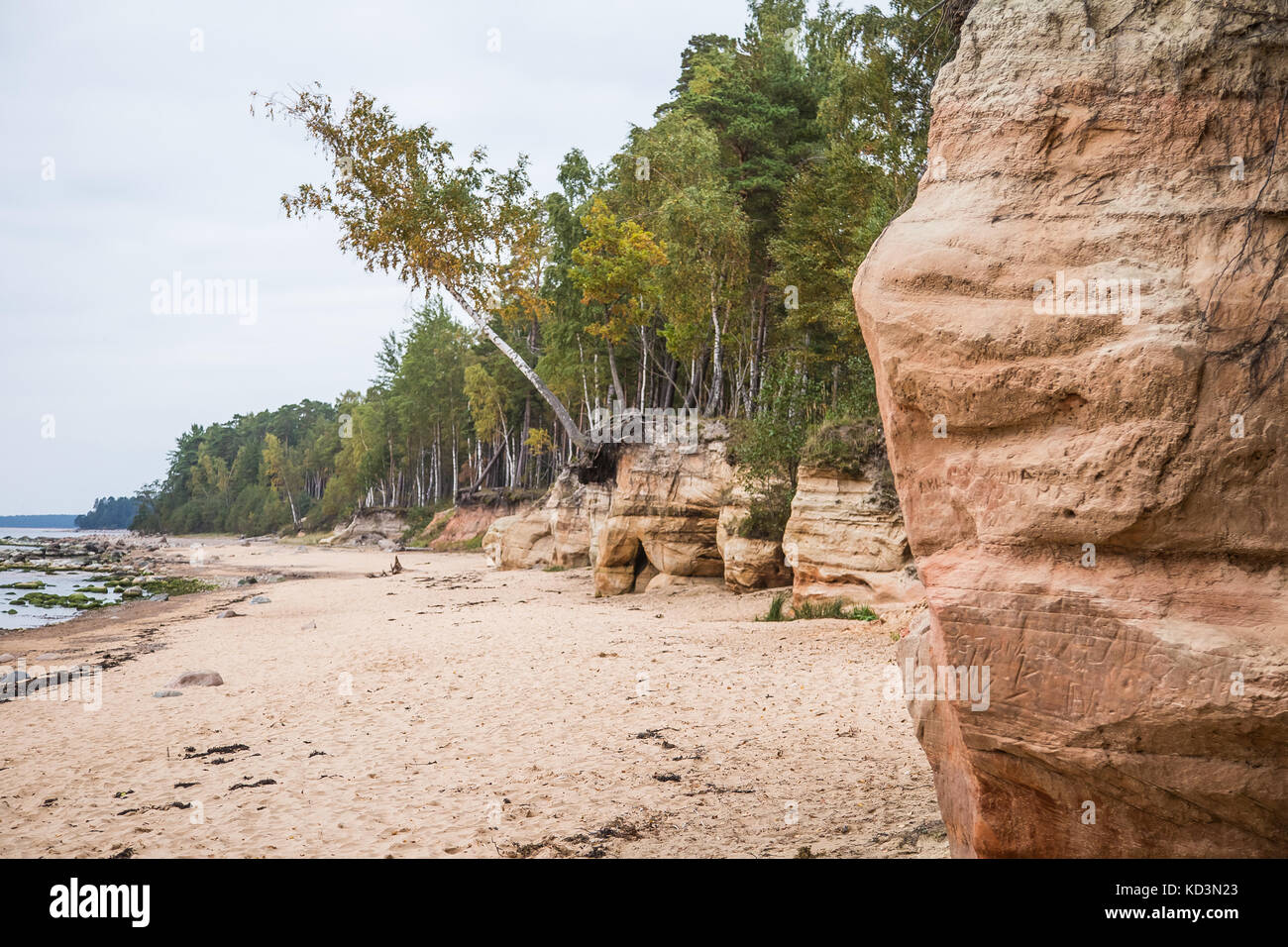 A beautiful seaside landscape with a sandstone caves. Orange sandstone ...