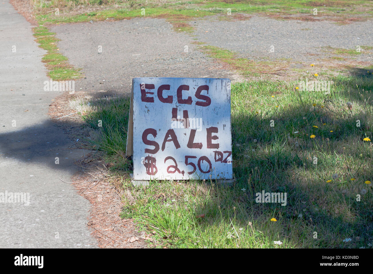 Old vintage painted sign Stock Photo - Alamy