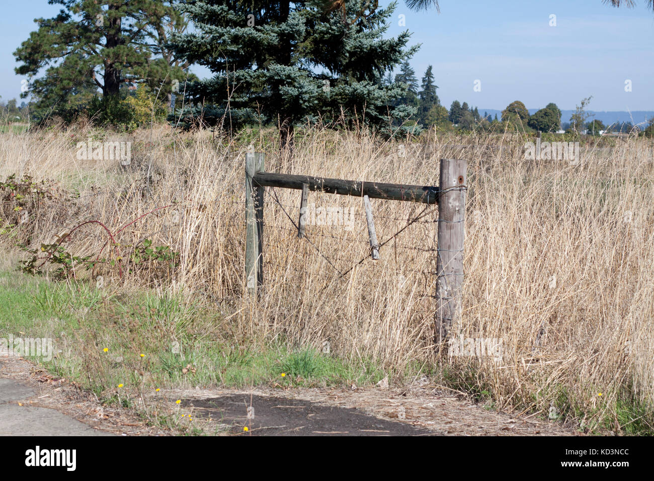 Old wooden gate in field Stock Photo - Alamy