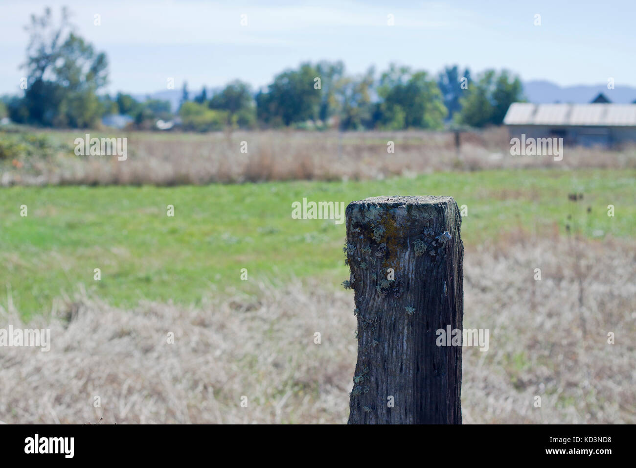 Old wooden post in field Stock Photo - Alamy