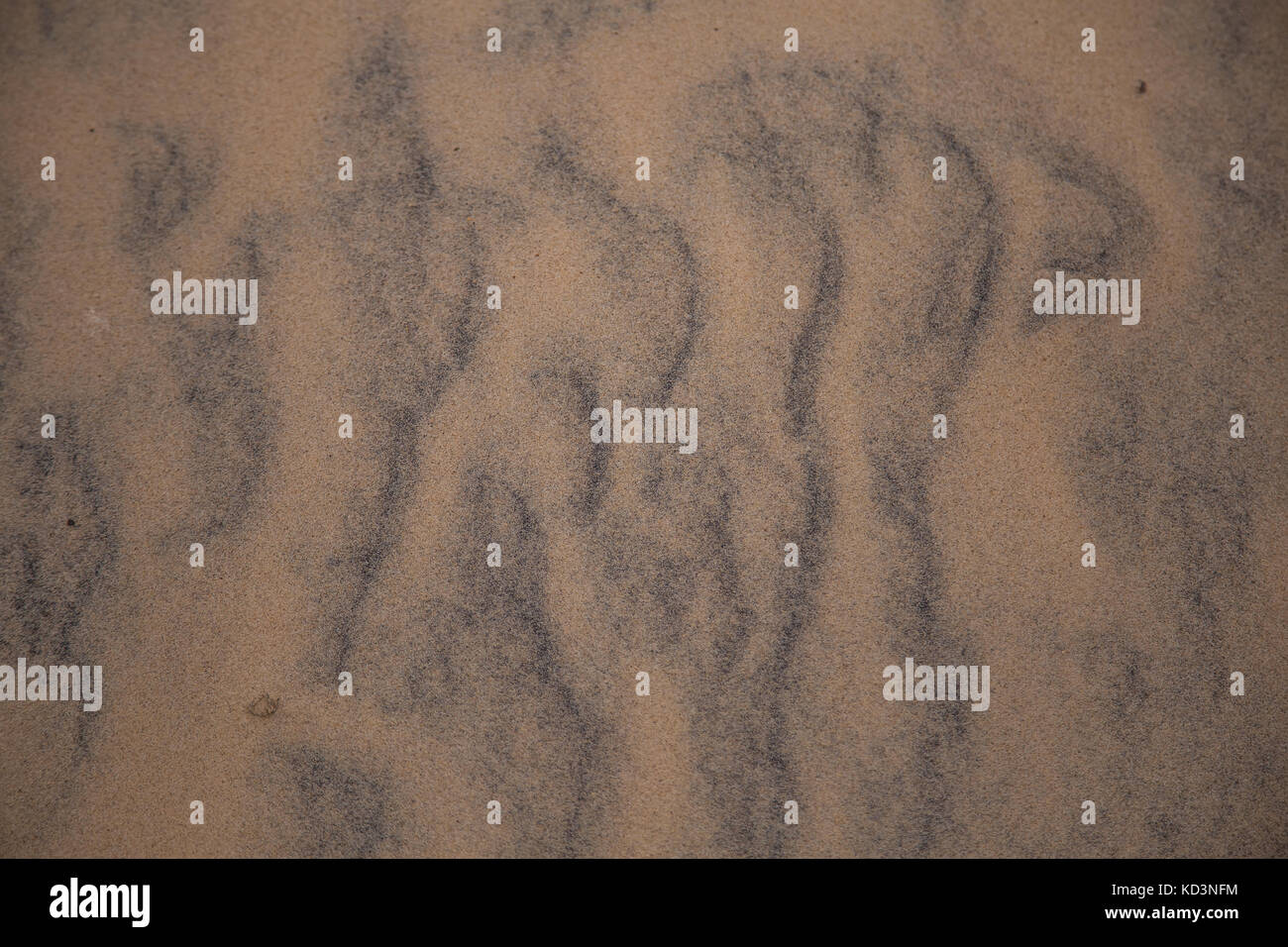 A beautiful sea sand pattern on a beach. Baltic sea shore sand texture ...