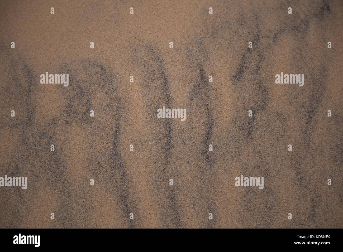 A beautiful sea sand pattern on a beach. Baltic sea shore sand texture ...