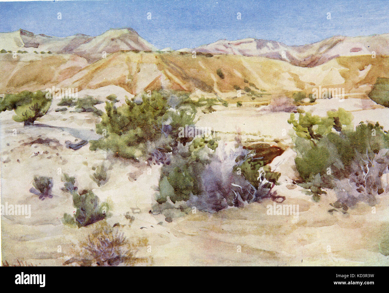 Holy Lands Desert Wilderness