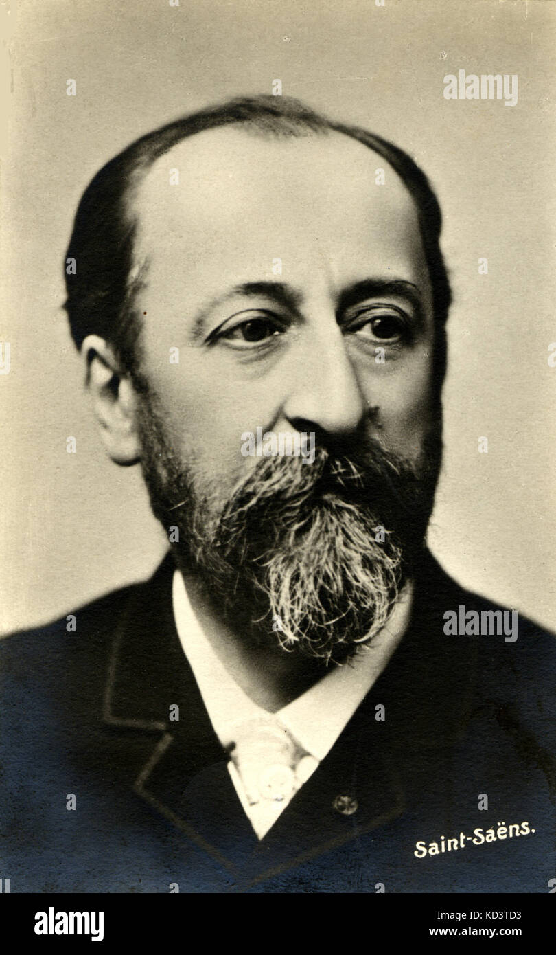 Camille Saint-Saens portrait c.1870's French composer (1835-1921 Stock ...
