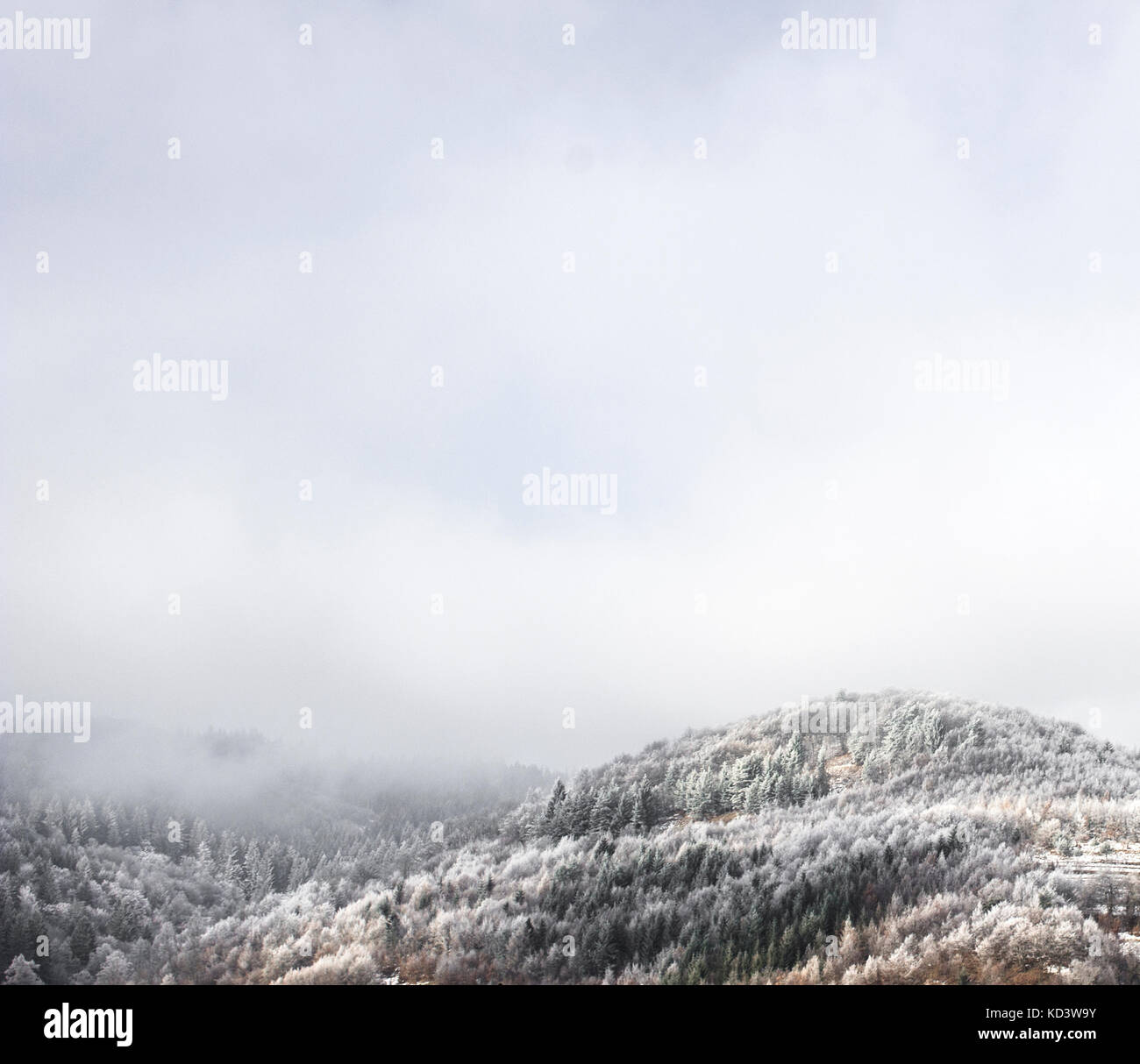 winter in Slovakia Stock Photo - Alamy