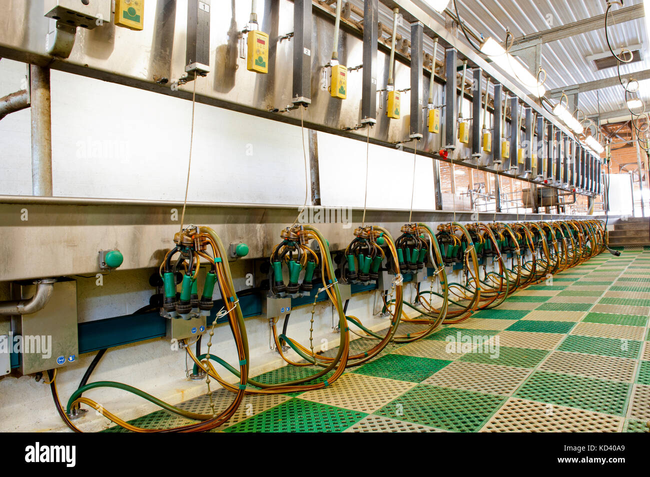 MILKING PUMPS AT AUTOMATED MILKING PARLOR Stock Photo - Alamy