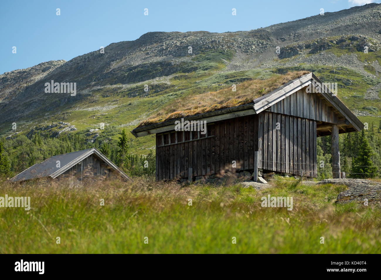 Norwegian traditional wooden cabin hi-res stock photography and images ...