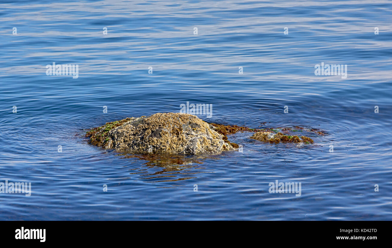Rippling water backdrop hi-res stock photography and images - Alamy