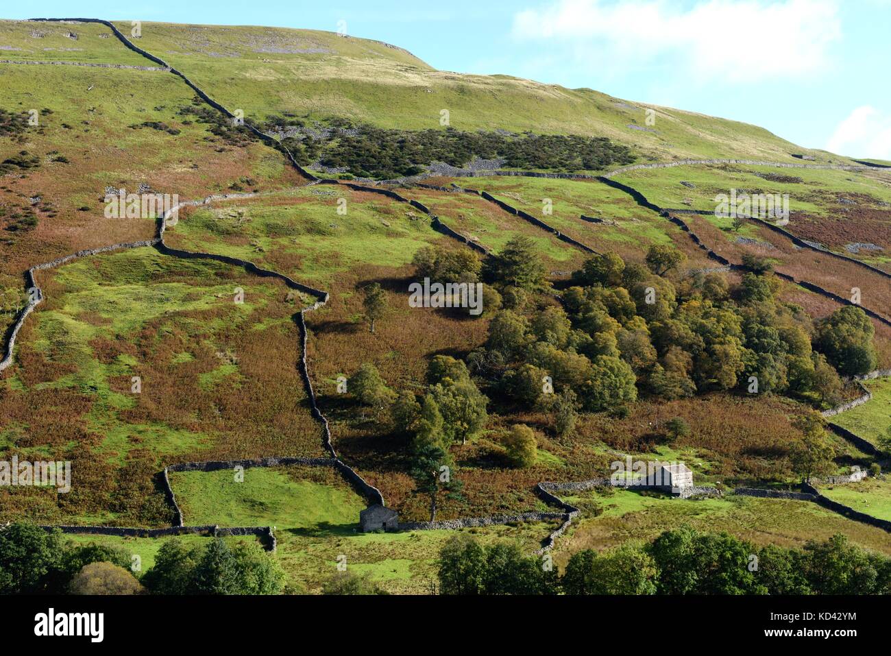 Swaledale landscape hi-res stock photography and images - Alamy