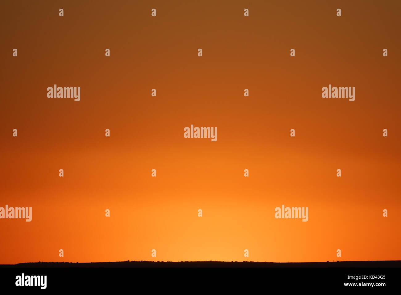 Beautiful sunset with orange sky. Sky Background Stock Photo - Alamy