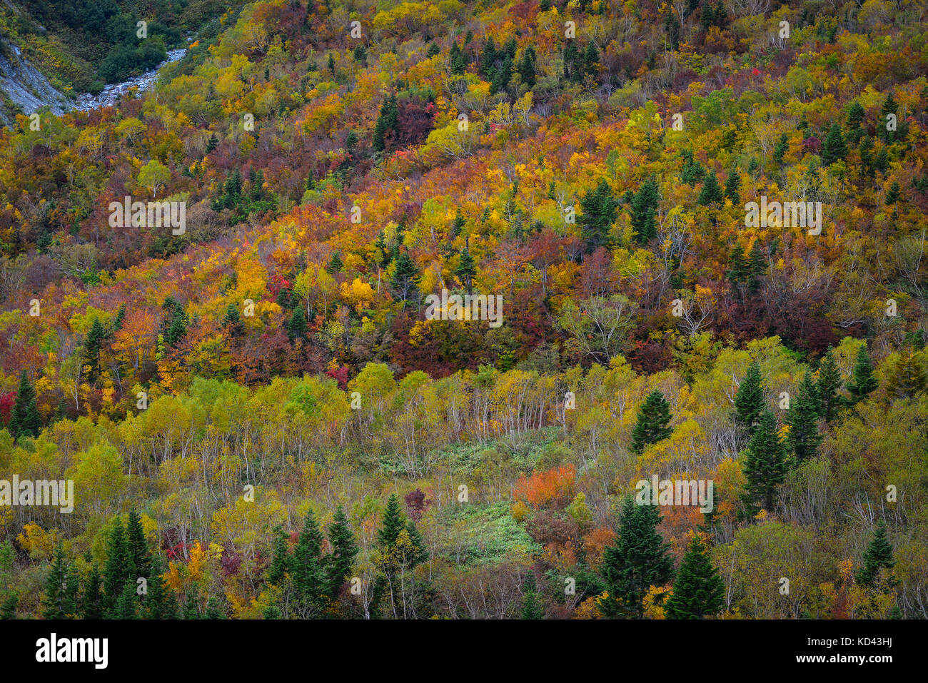Landscape of Mount Tate with autumn trees in Toyama, Japan Stock Photo ...