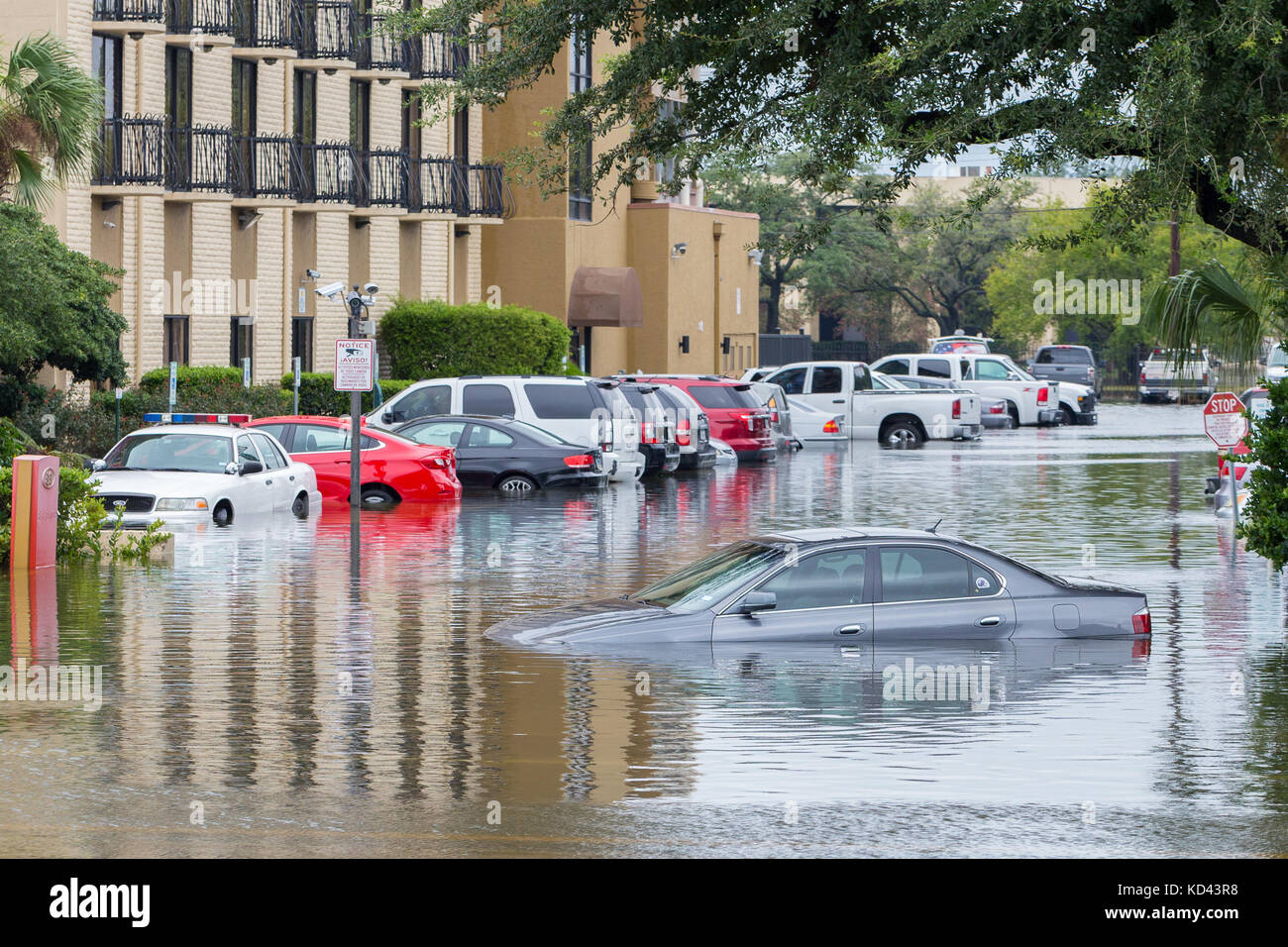 Cars submerged from hurricane Harvey in Houston, Texas, USA. Heavy ...