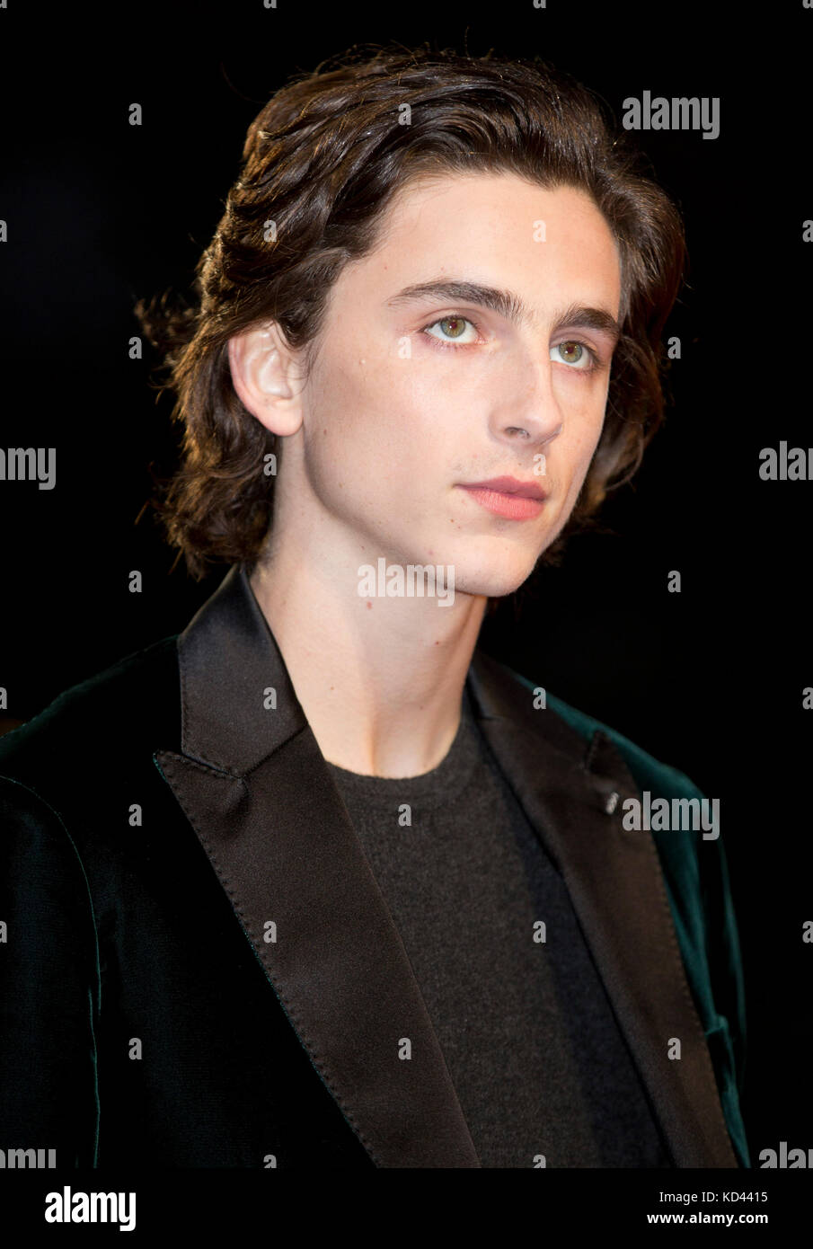 Timothee Chalamet attends the premiere of Call Me By My Name, as part ...