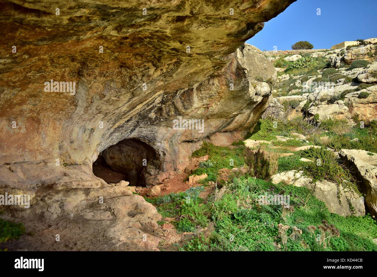 Entrance to a small cave formed in a valley, in Maltese limestone, a ...