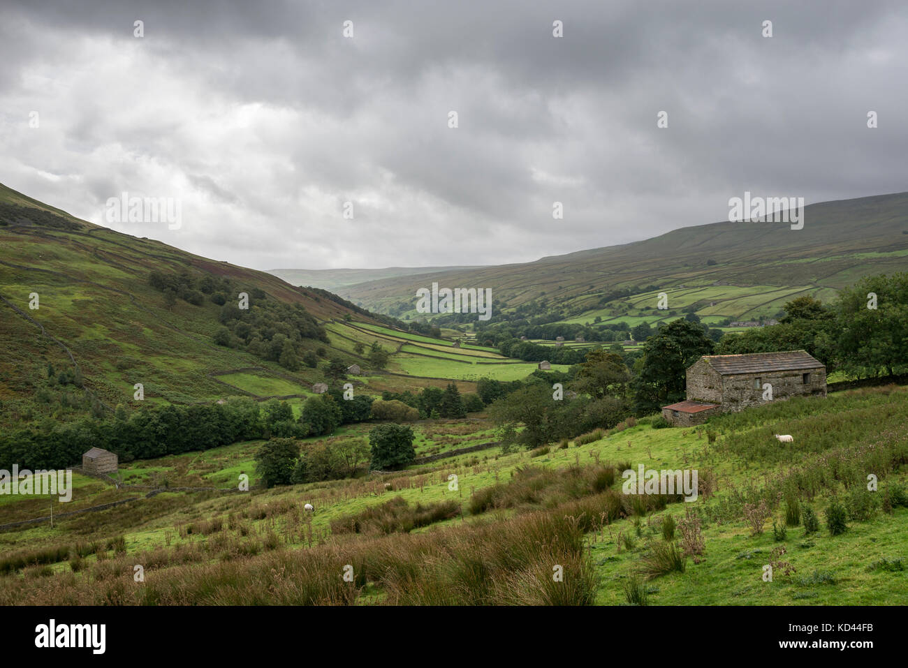 Upper Swaledale on a rainy September day, Yorkshire Dales, England ...