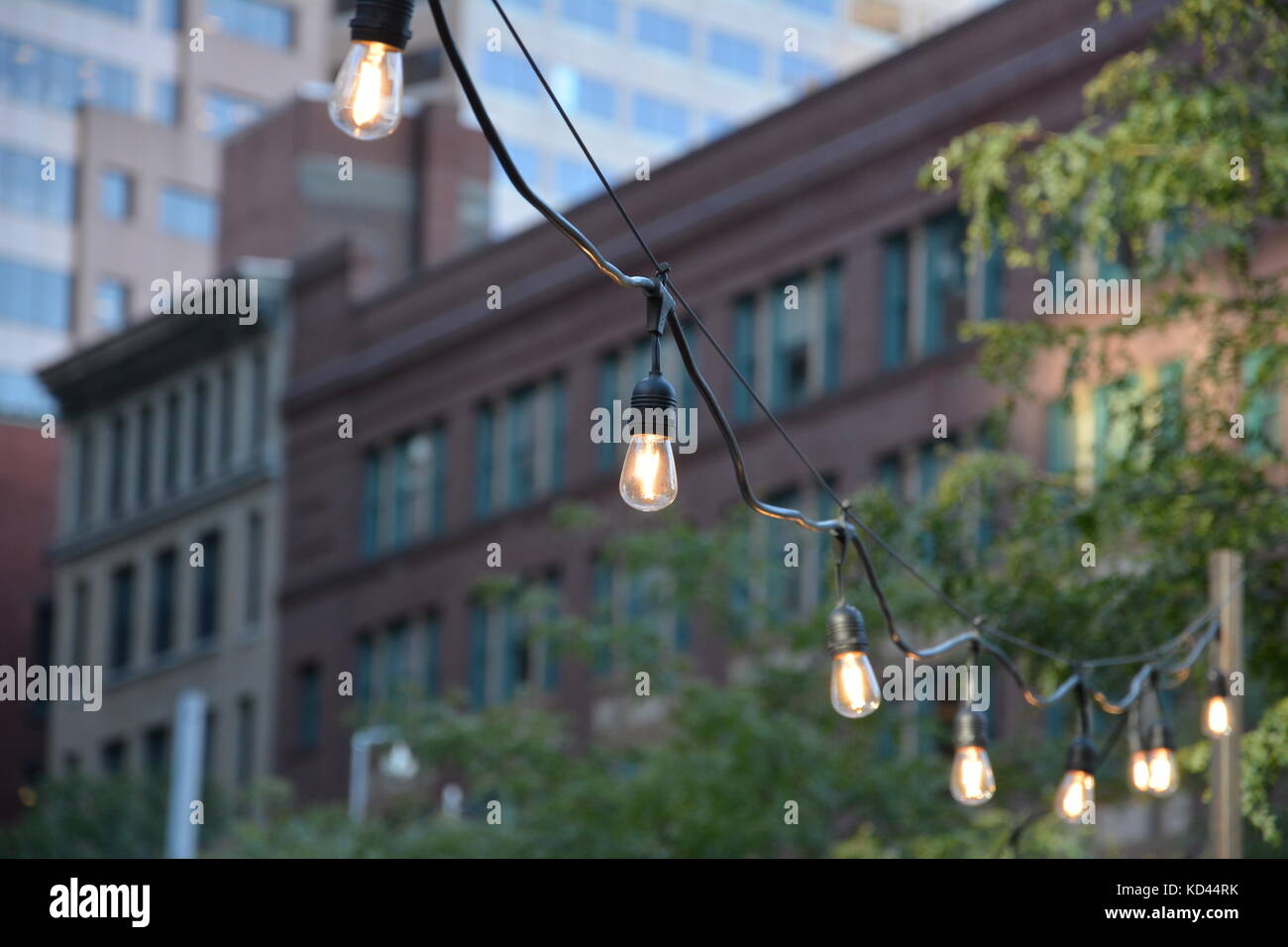 String lights over downtown Boston, USA's Greenway Stock Photo - Alamy