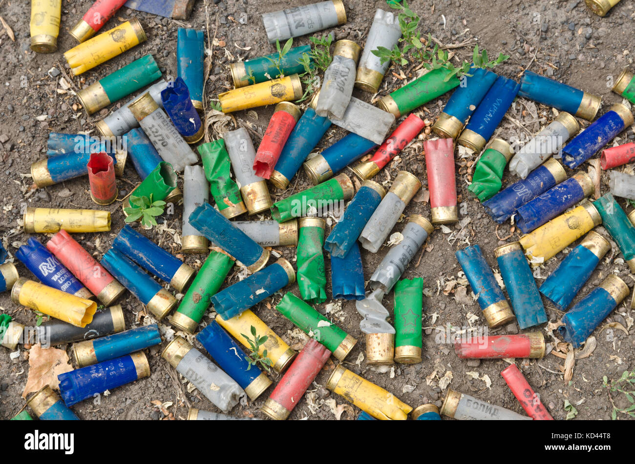 Close-up of the shotgun shells on the ground Stock Photo - Alamy