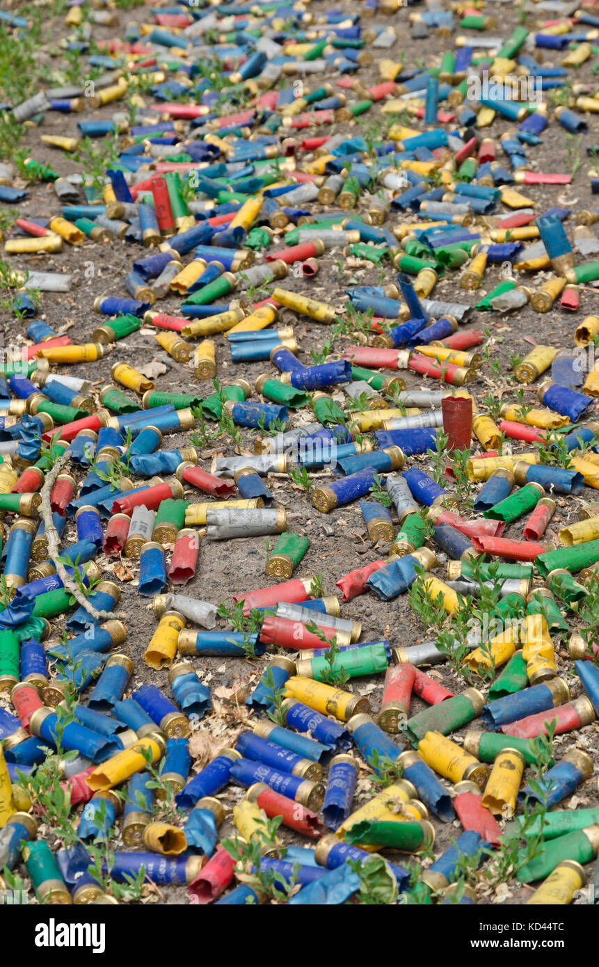 Close-up of the shotgun shells on the ground Stock Photo - Alamy