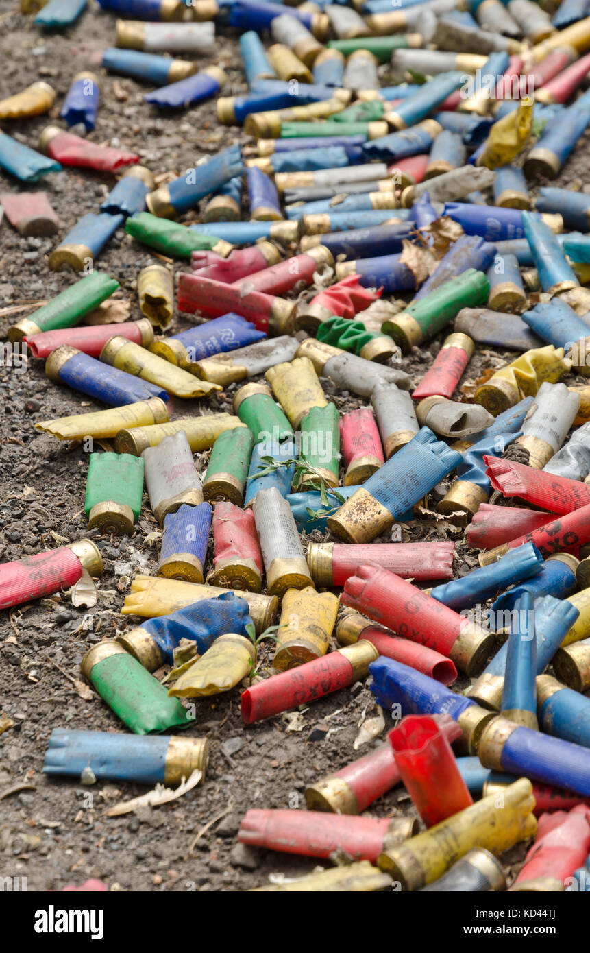 Close-up of the shotgun shells on the ground Stock Photo - Alamy