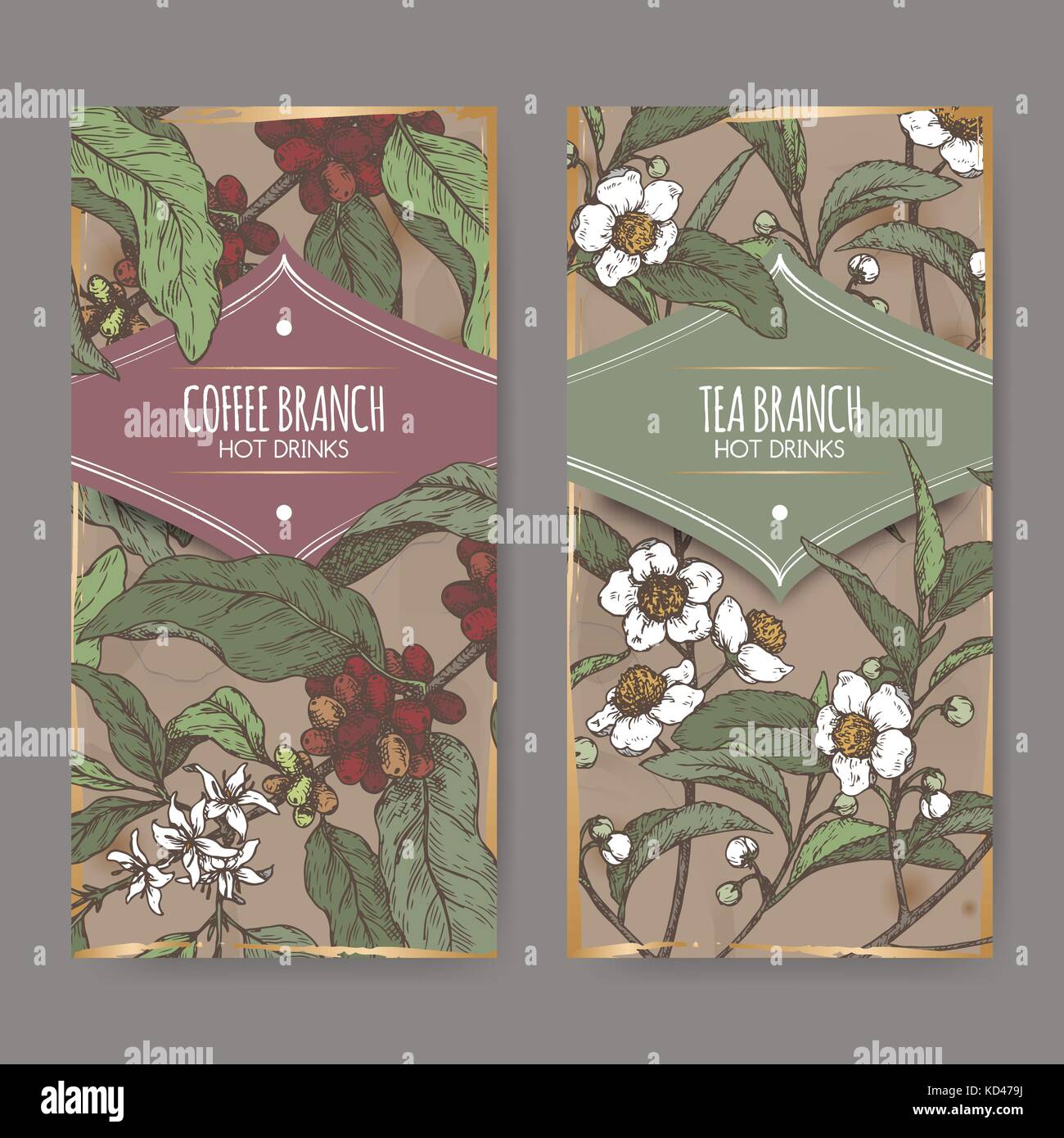 Set of two color labels with tea and coffee branch sketch. Hot drinks ...
