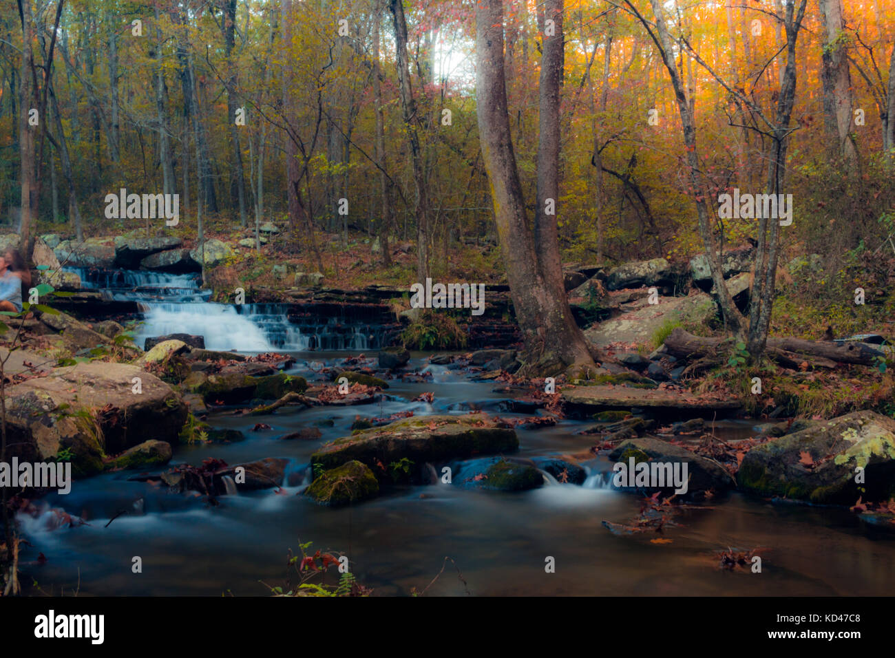 Waterfall on Collins Creek Trail located in Heber Springs, Arkansas ...