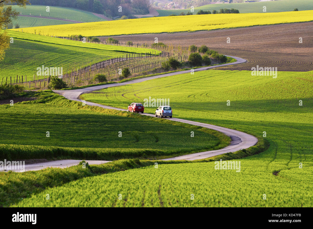 Rural landscape with road Stock Photo - Alamy