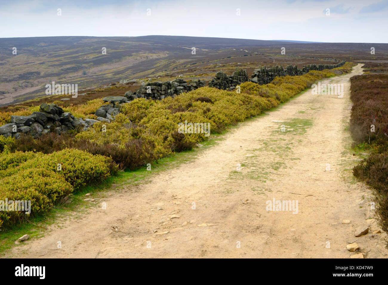 Gravel bridleway over Broomhead Moor, Peak District, UK Stock Photo - Alamy