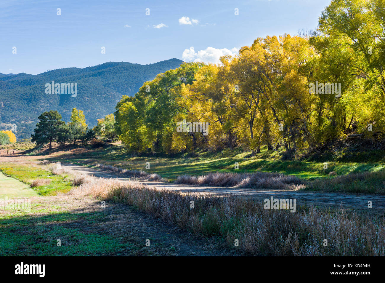 Autumn view of ranch pasture & Cottonwood trees; Vandaveer Ranch ...