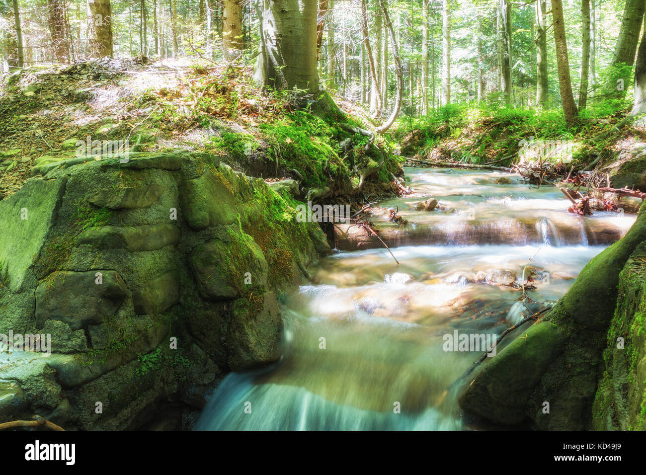 Mountain stream flowing in the sun. Mountain stream ina small creek in ...