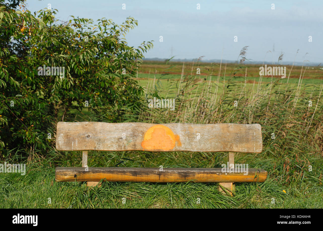 Wooden Seat Bench on a Meadow Stock Photo - Alamy